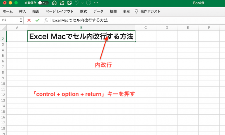 Microsoft Excel 2021 for Macでセル内改行する方法